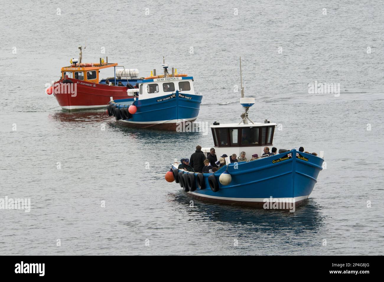 Three excursion boats queuing to take birdwatchers to the islands ...
