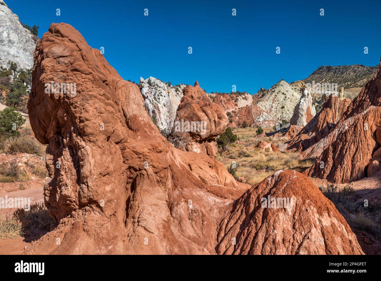 Candyland area rocks, Cottonwood Canyon, The Cockscomb in distance ...