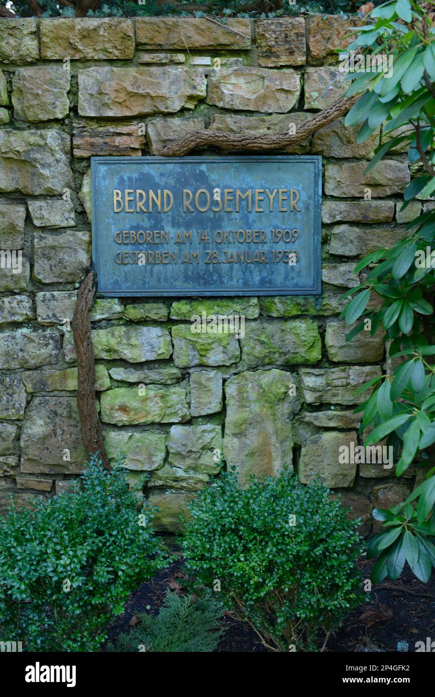 Grave, Bernd Rosemeyer, Waldfriedhof Dahlem, Huettenweg, Berlin ...