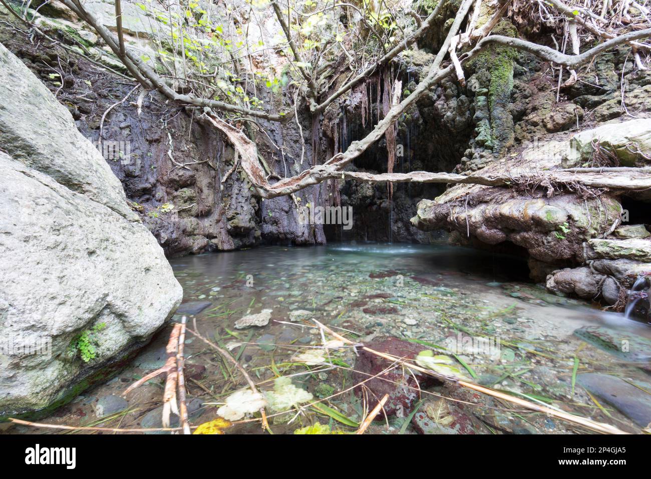 Cyprus, Neo Chorio, Aphrodites pool at the Botanical gardens (Baths of ...