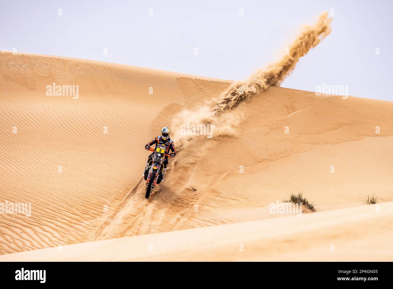 Check out the best content that landed this past week, from the world ...