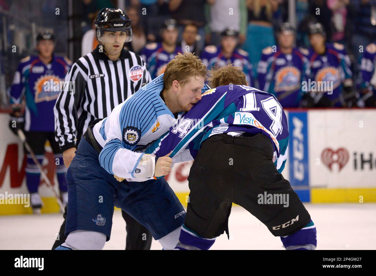 Evansville Icemen Arena