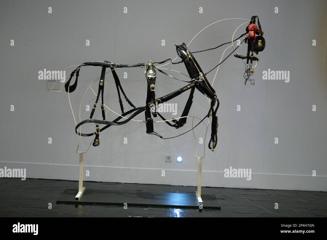 Dorantes harness hi-res stock photography and images - Alamy