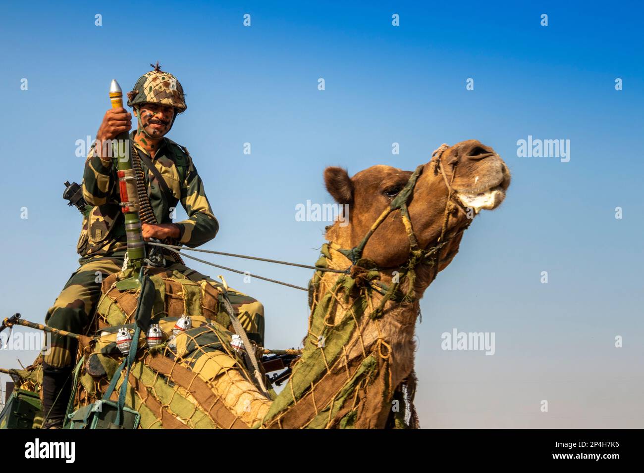 India, Rajasthan, Bikaner, National Camel Research Centre, Camel ...