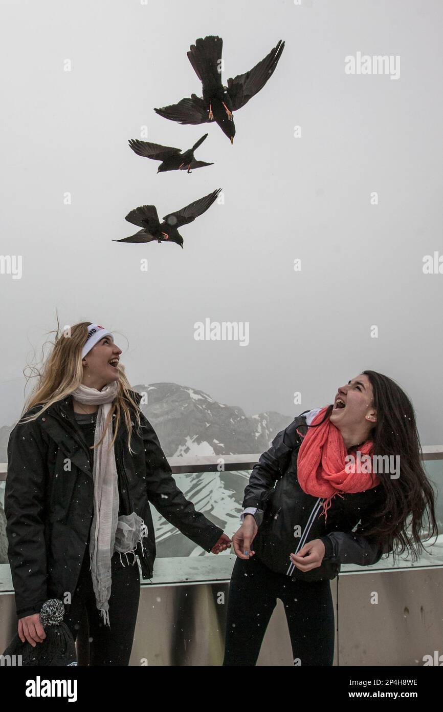 Elizabeth Knoll, left, and Jacqueline Chappo, right, from the U.S ...