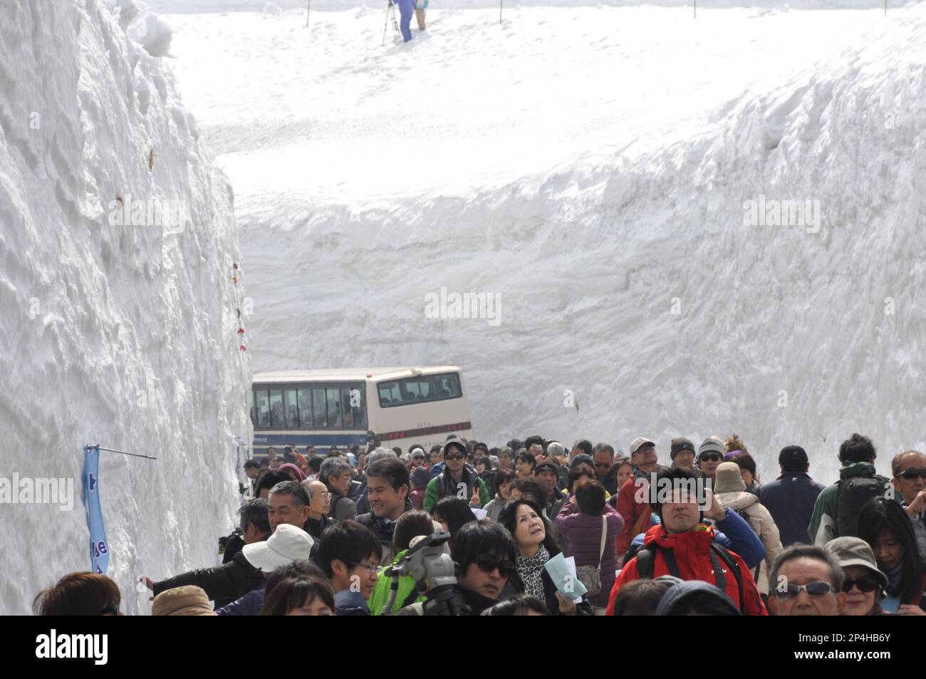People enjoy viewing the 15-meter snow walls of the Yuki no Otani ...