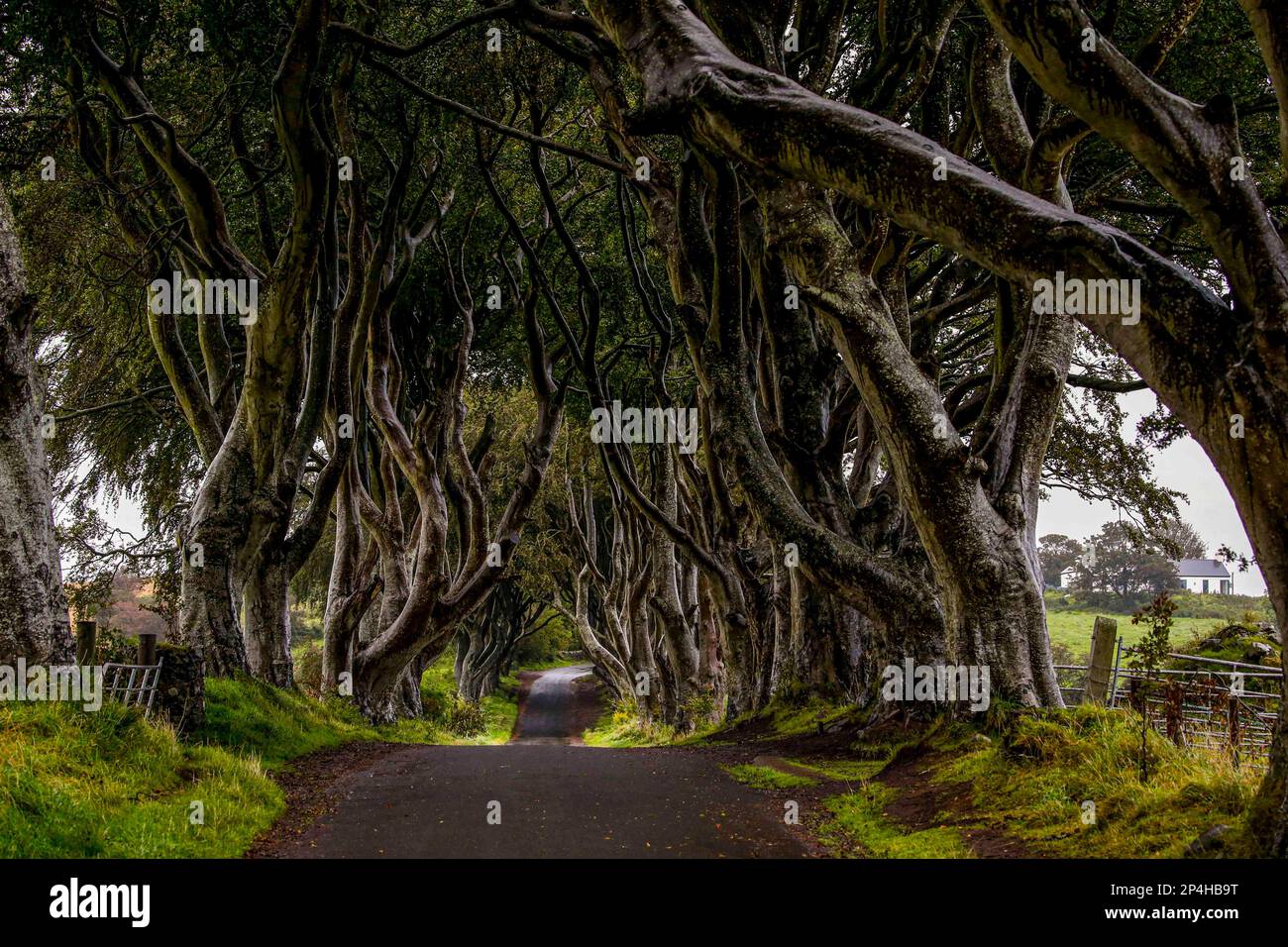 Roadway image hi-res stock photography and images - Alamy