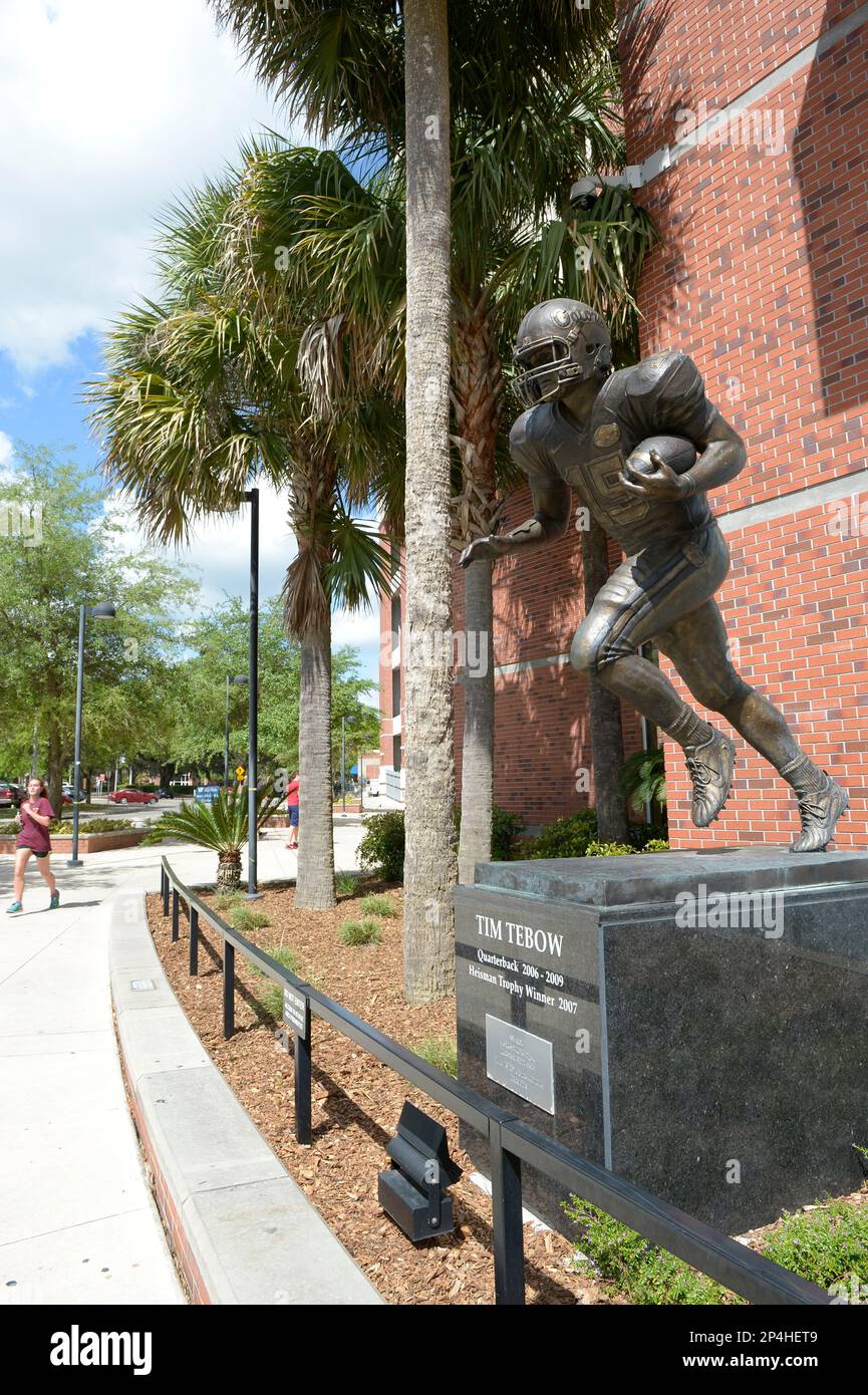 A statue of Tim Tebow stands among three statues of former Florida ...