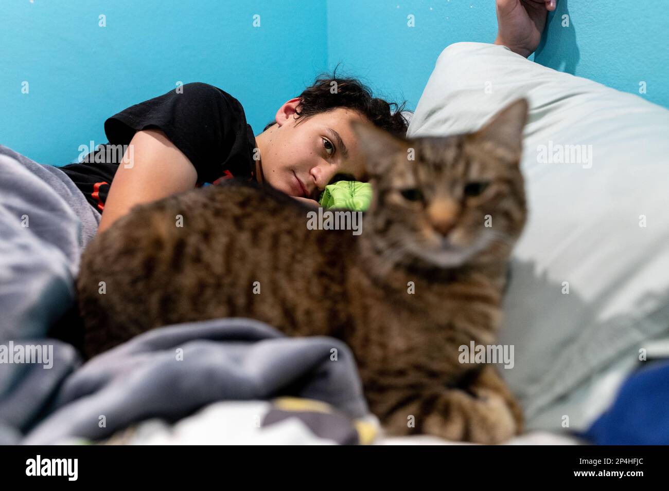 Teen boy lays in bed awake with his brown tabby cat Stock Photo - Alamy