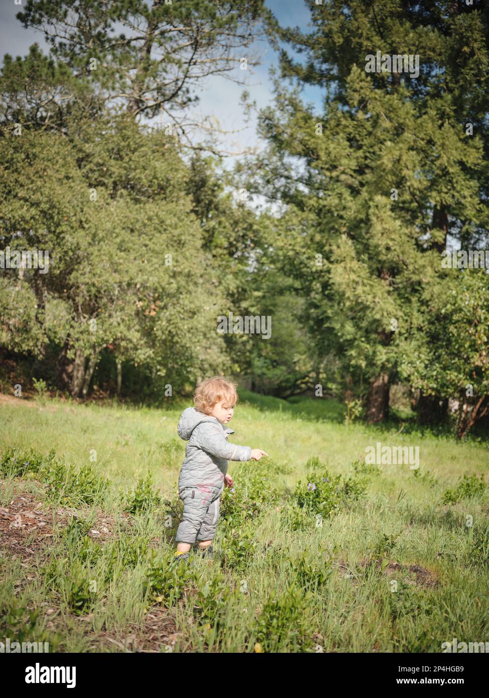 Child pointing at trees hi-res stock photography and images - Alamy
