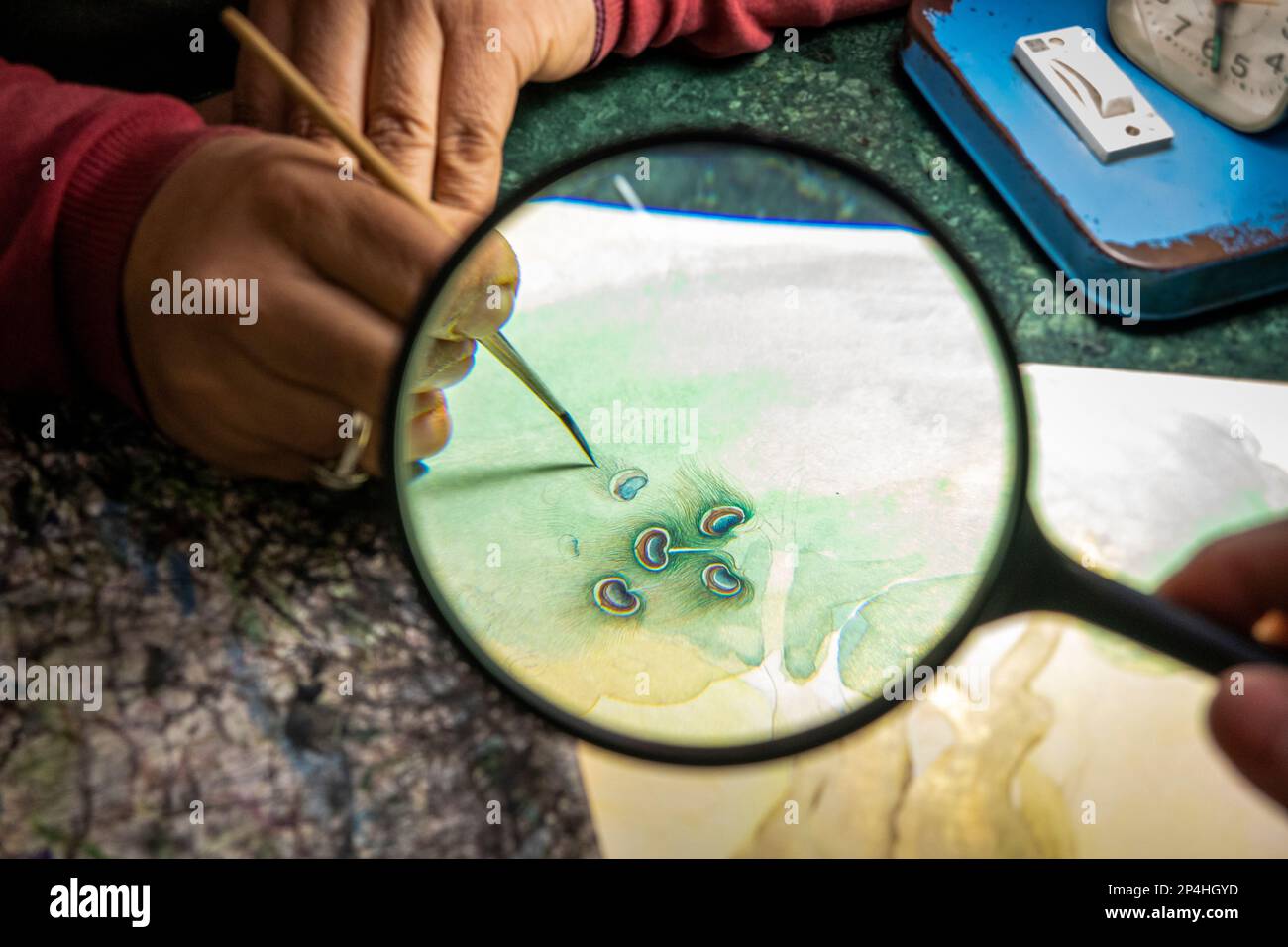 India, Rajasthan, Bikaner, Tirham, Municipal Road, Bikaner Miniature ...