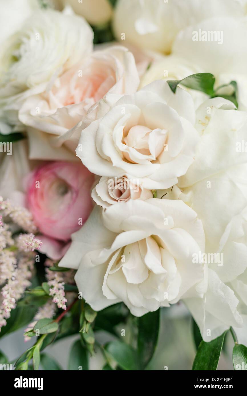 Soft pink roses hi-res stock photography and images - Alamy