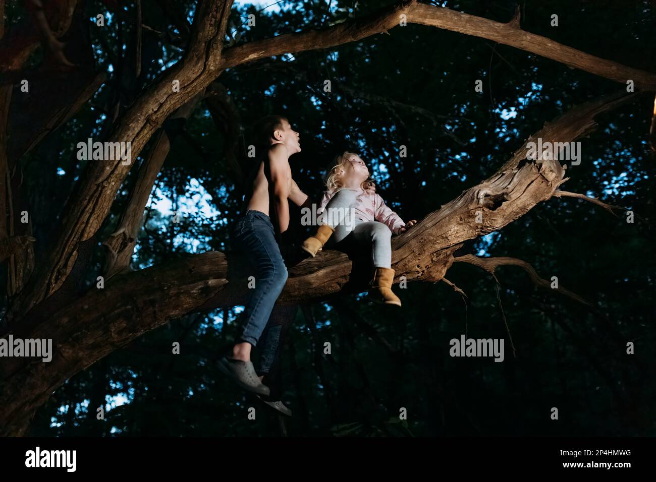 Kids tree branches hi-res stock photography and images - Alamy