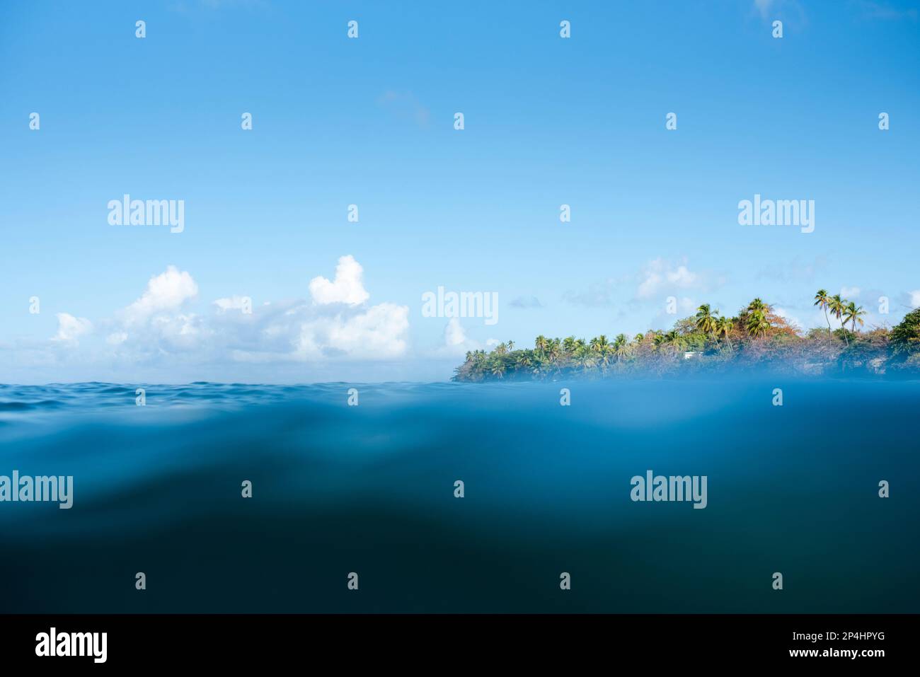 Puerto rico sea underwater hi-res stock photography and images - Alamy