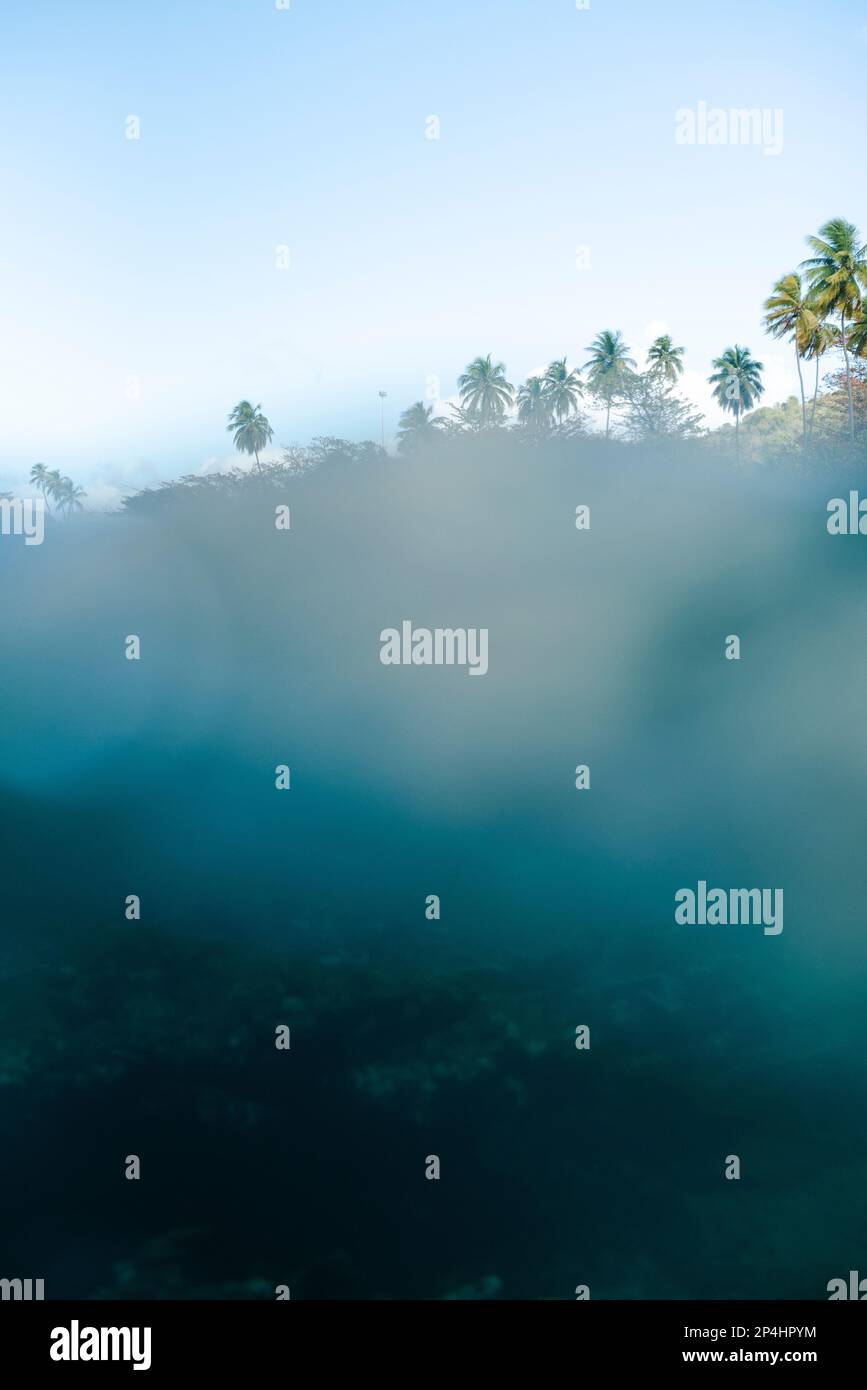 Tres Palmas Marine Reserve in Rincon, Puerto Rico Stock Photo - Alamy