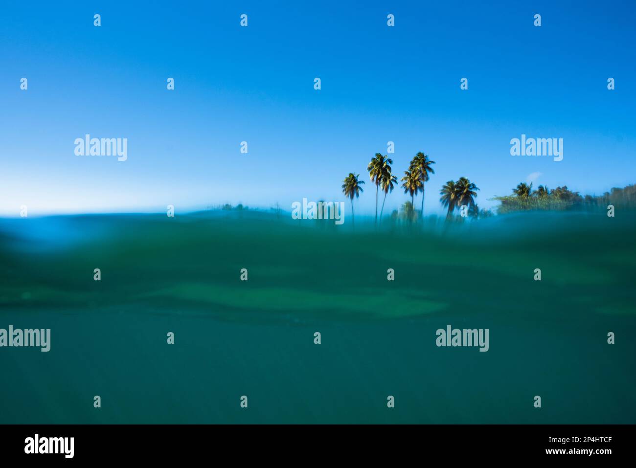 Tres Palmas Marine Reserve in Rincon, Puerto Rico Stock Photo - Alamy