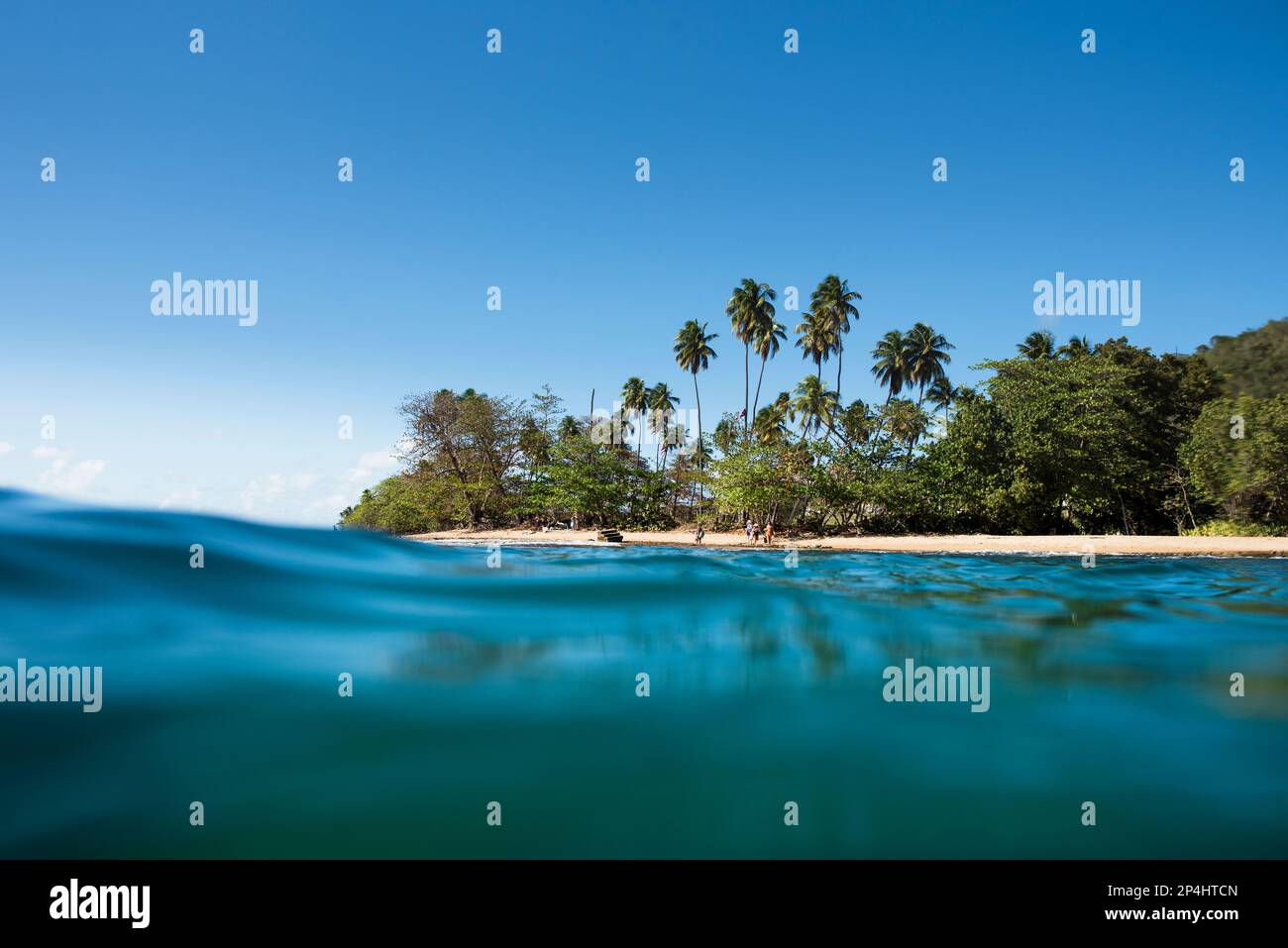 Tres Palmas Marine Reserve in Rincon, Puerto Rico Stock Photo - Alamy