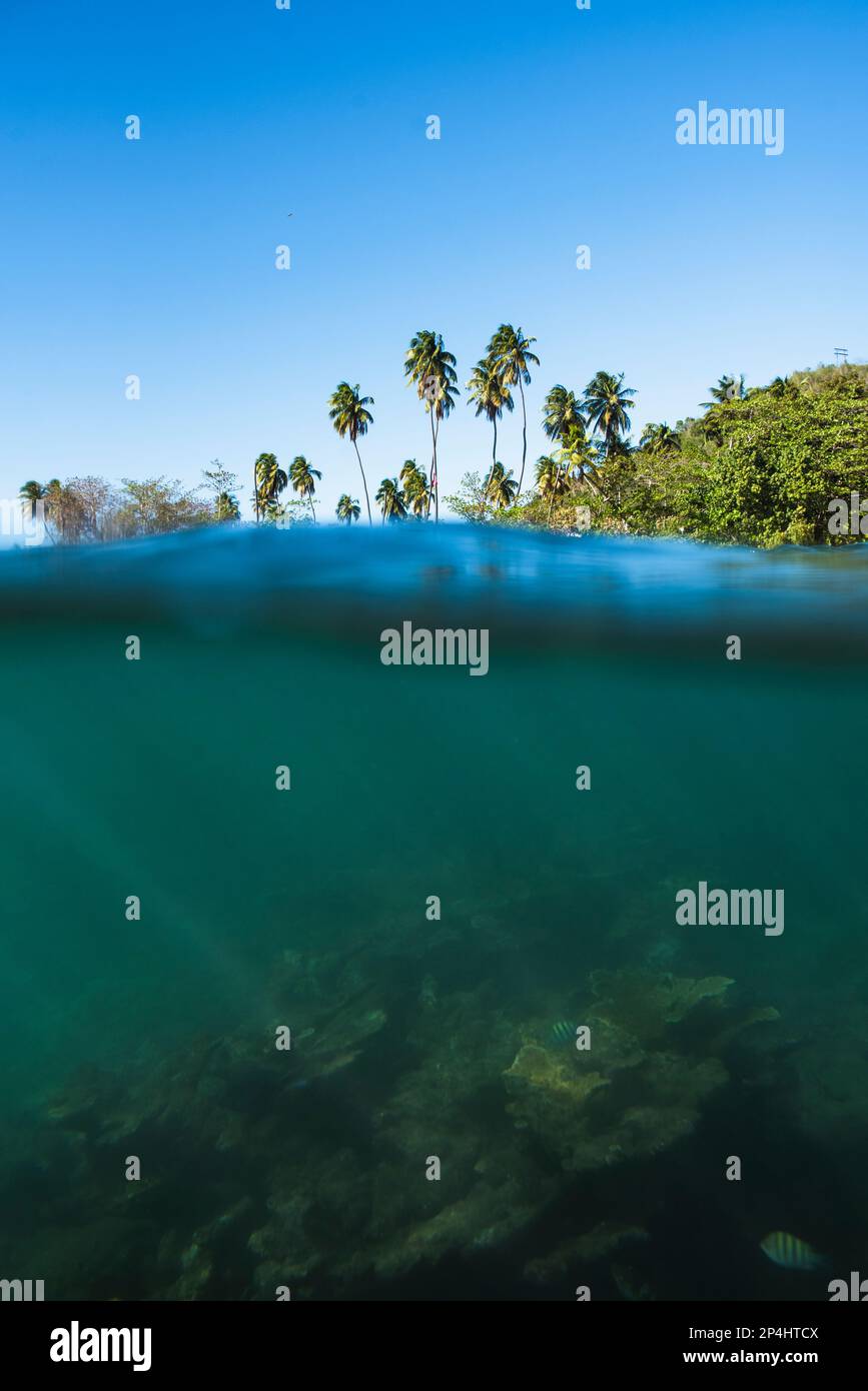 Tres Palmas Marine Reserve in Rincon, Puerto Rico Stock Photo - Alamy
