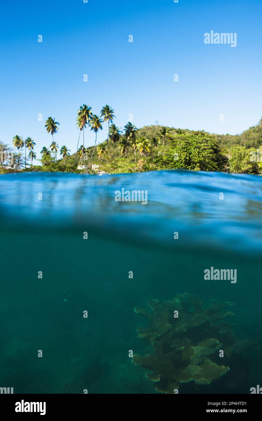 Tres Palmas Marine Reserve in Rincon, Puerto Rico Stock Photo - Alamy