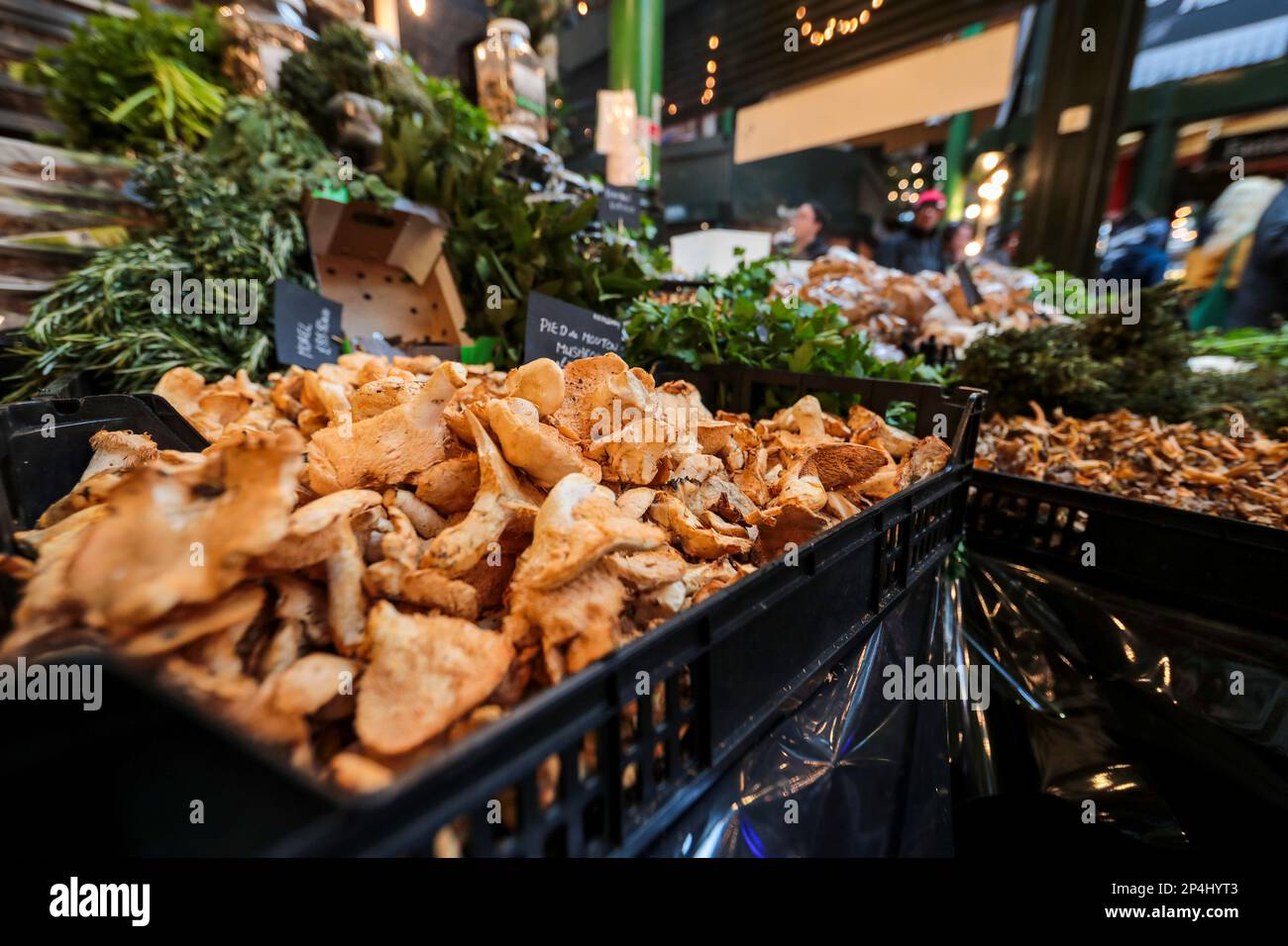 Mushroom stall, Borough Market, London Stock Photo - Alamy