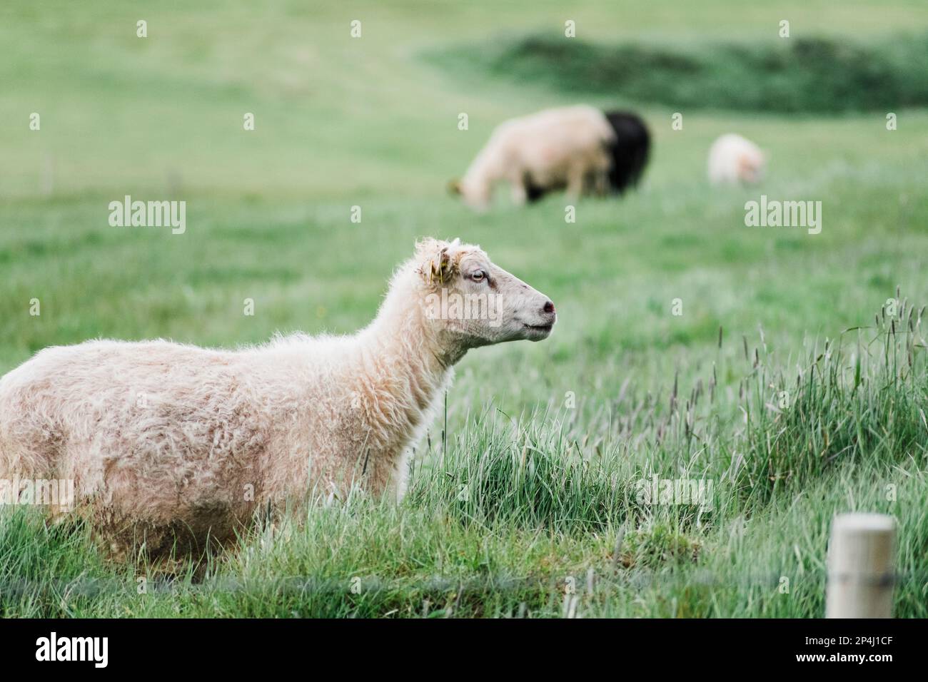 Road trip sights hi-res stock photography and images - Alamy