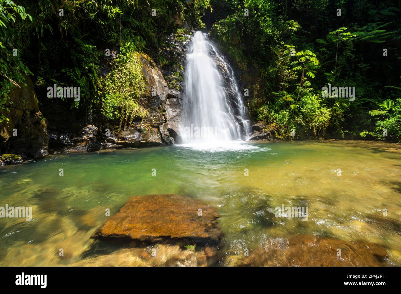 Beautiful view to green atlantic rainforest waterfall in Salto Morato ...