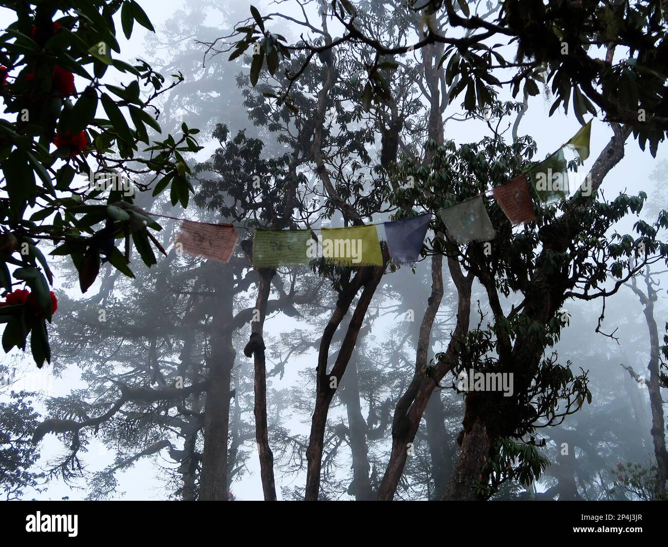 Nepal ulleri hill hi-res stock photography and images - Alamy