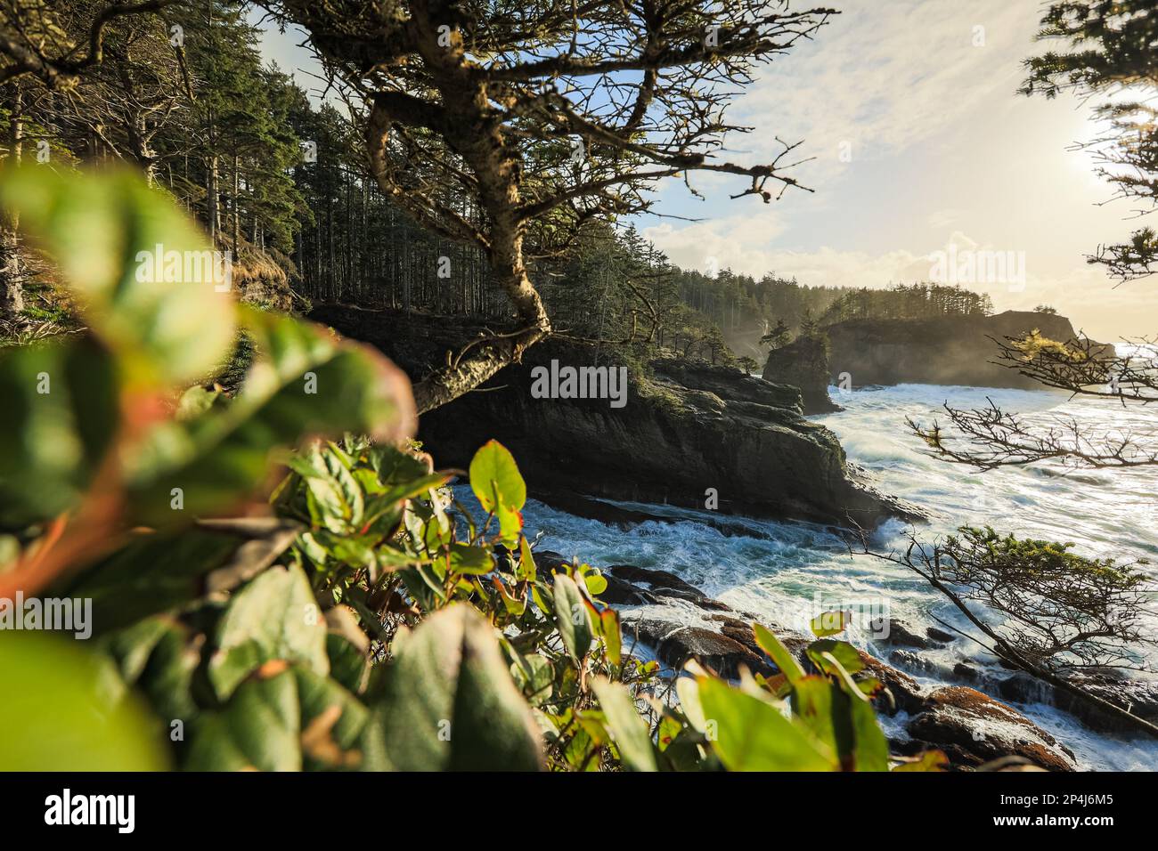 Washington Coast Ocean Landscape Epics Stock Photo - Alamy