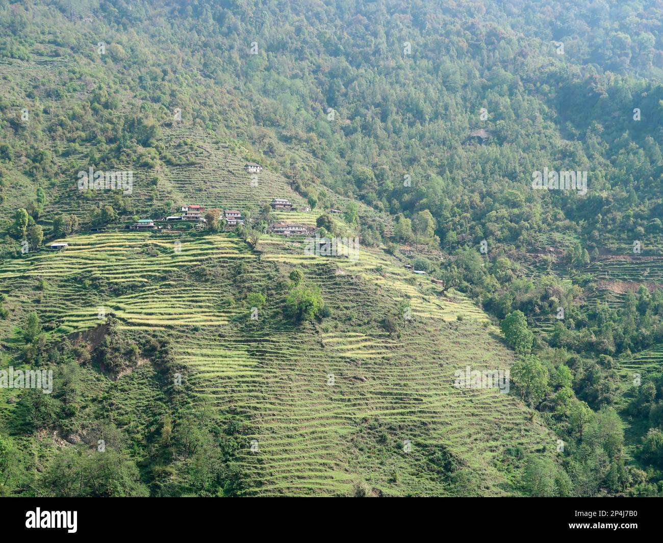 Ghorepani Poon Hill Nepal - Walking way to Ghorepani Village for Poon ...