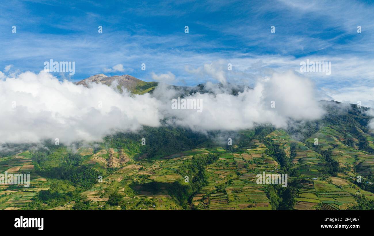 Farmland and rice terraces on the slopes of the Canlaon volcano view ...
