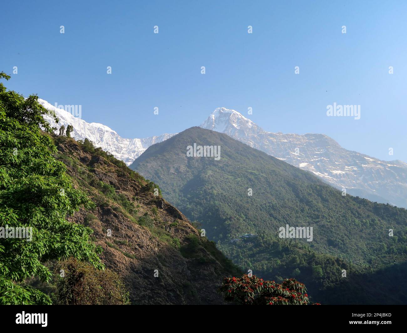 Ghorepani Poon Hill Nepal - Walking way to Ghorepani Village for Poon ...