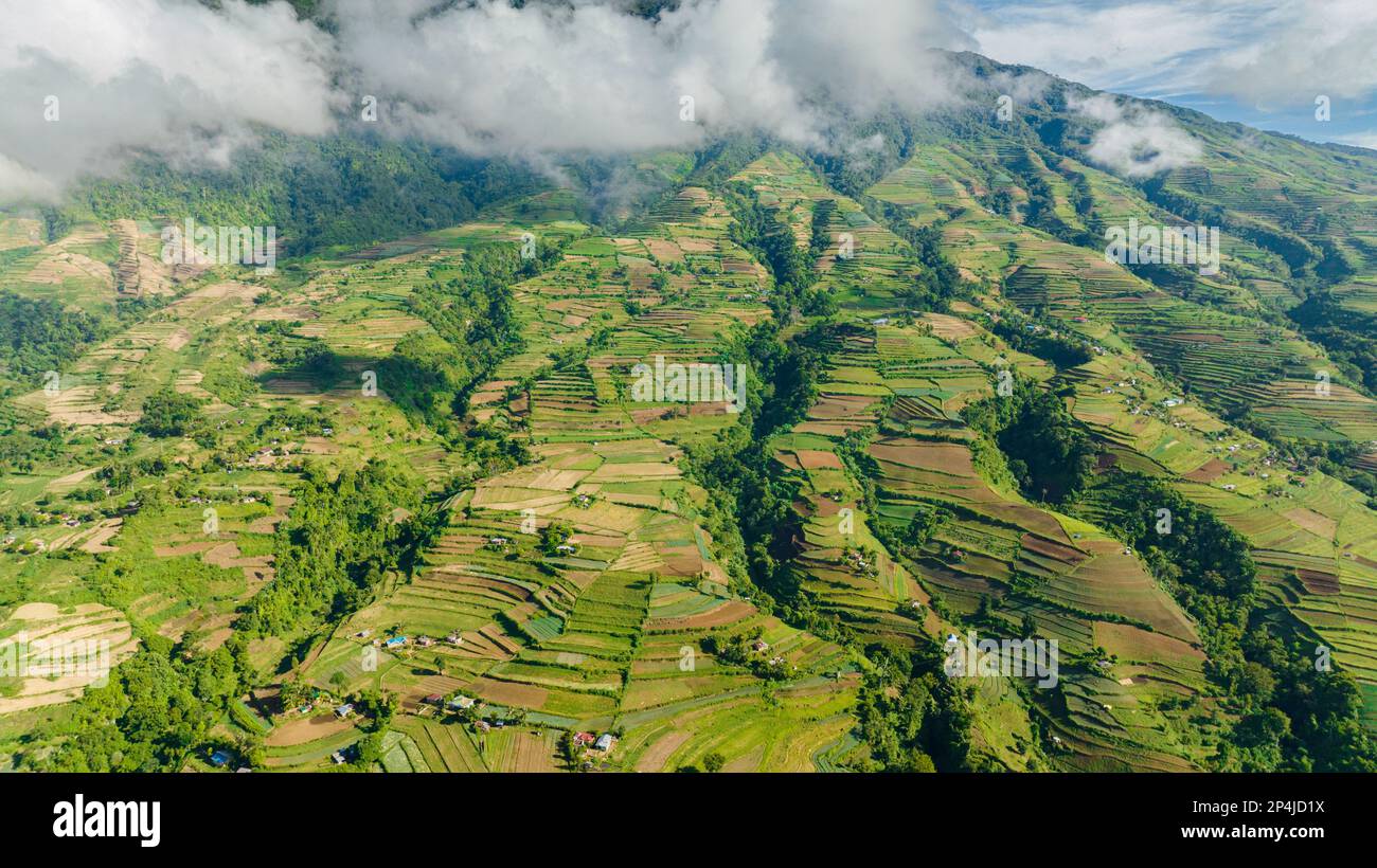Top view of farmland and rice terraces on the slopes of the Canlaon ...