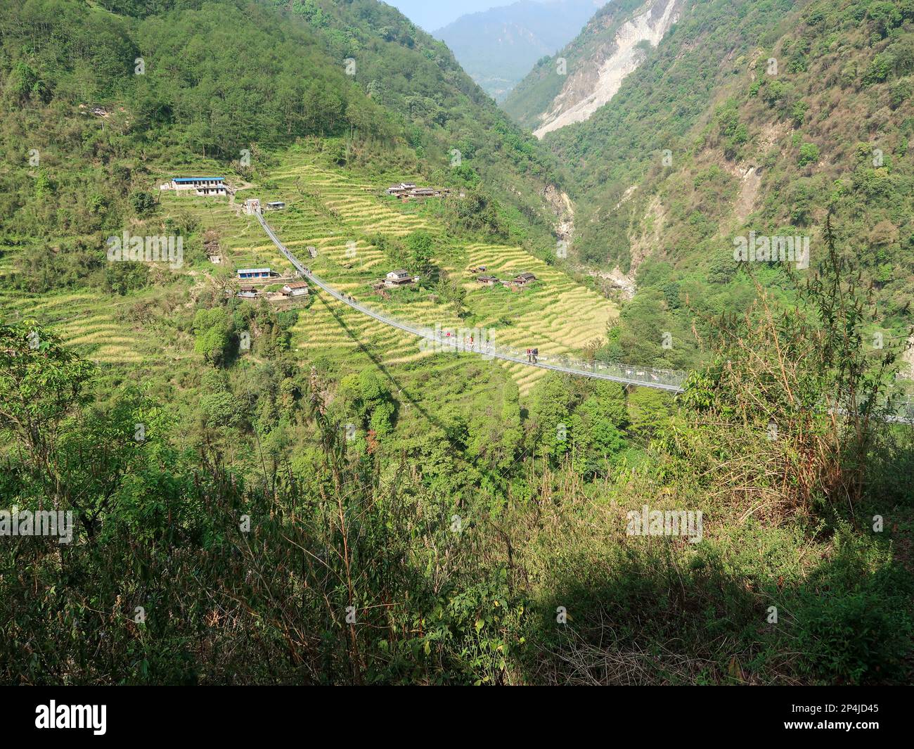 Ghorepani Poon Hill Nepal - Walking way to Ghorepani Village for Poon ...
