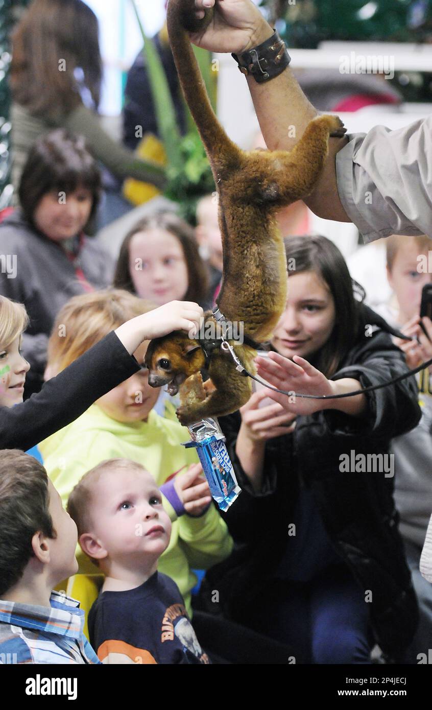 Nelson Pearson, a licensed professional animal handler and biologist ...