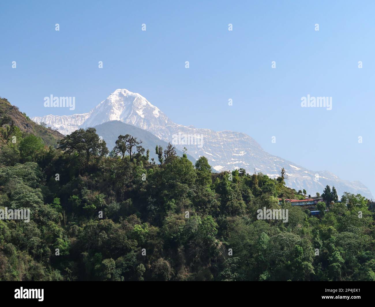 Ghorepani Poon Hill Nepal - Walking way to Ghorepani Village for Poon ...