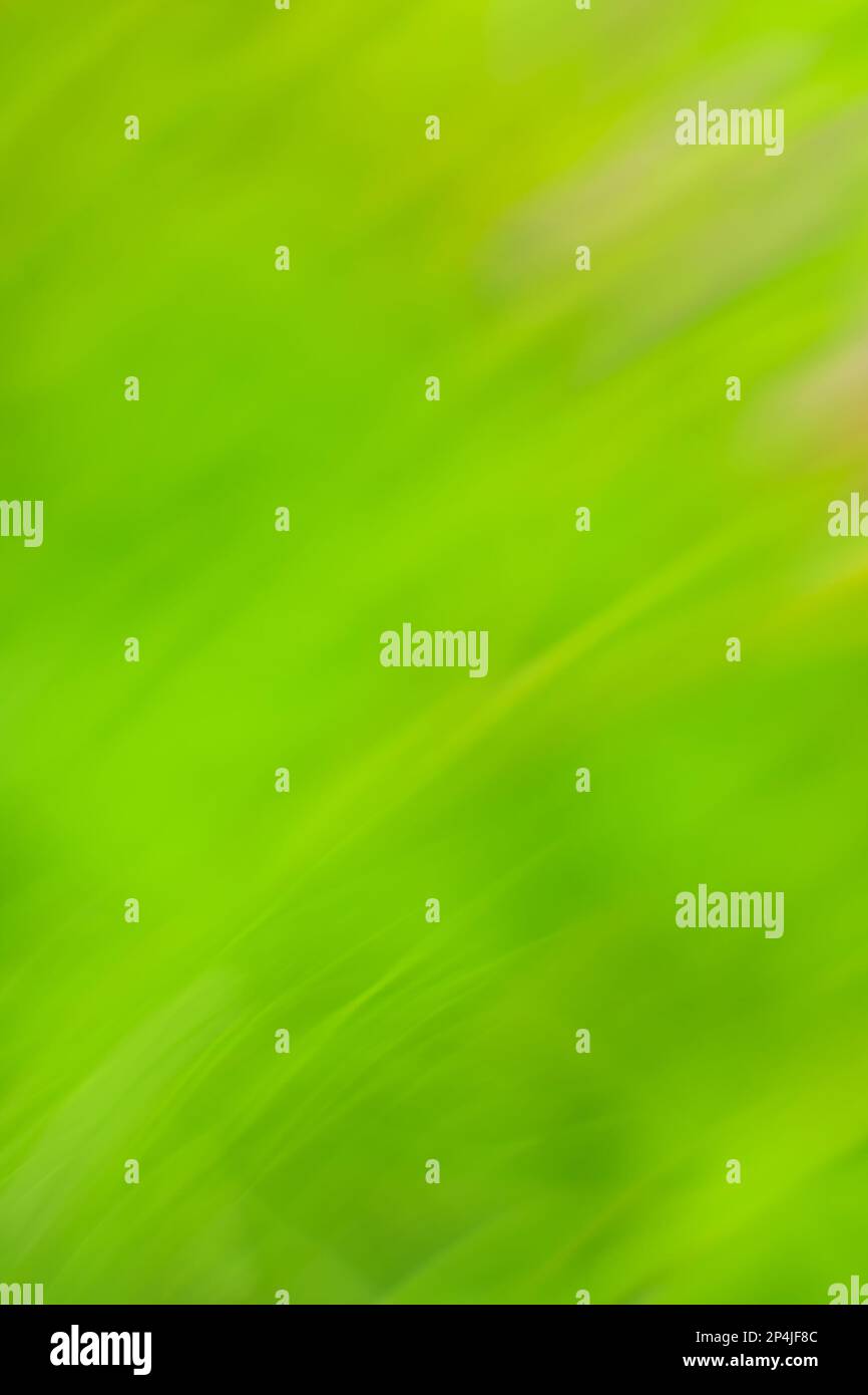 Slow shutter speed with motion green blur effect. Decorative green ...