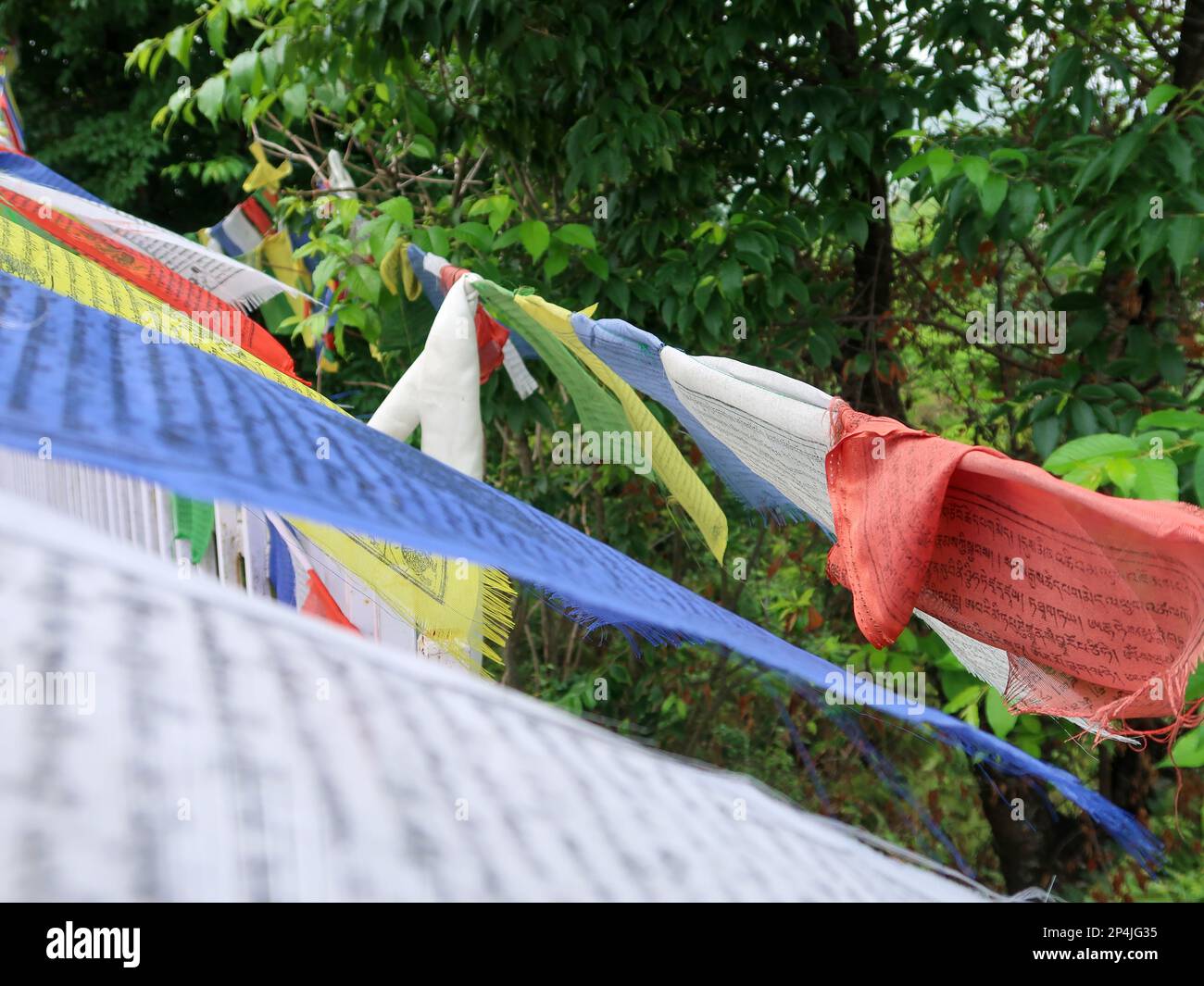 Ghorepani Poon Hill Nepal - Walking way to Ghorepani Village for Poon ...