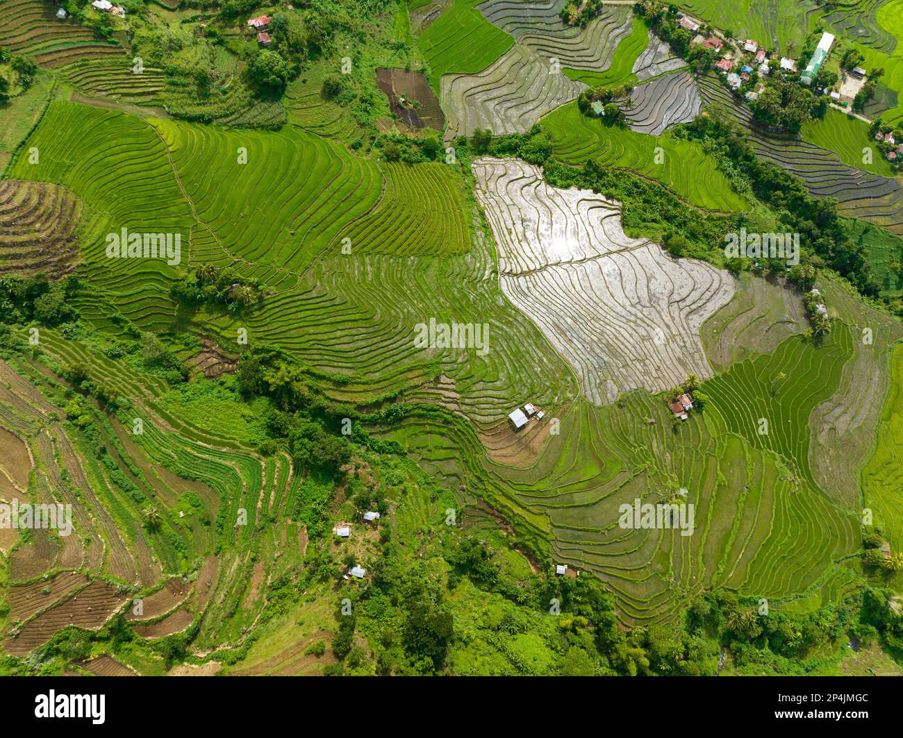 Terraces with farmland on the slopes of the hills in the highlands ...