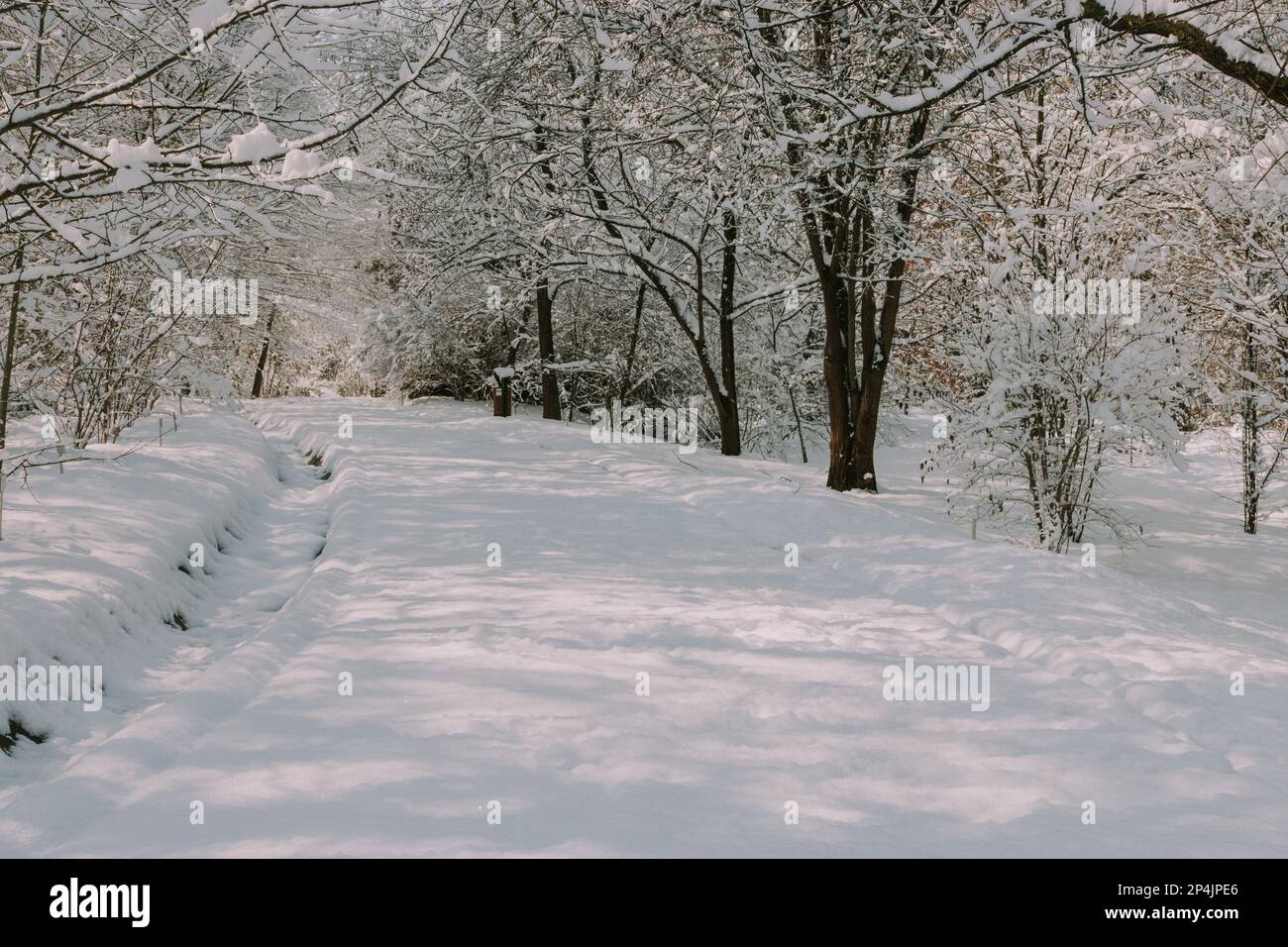 Rural winter setting hi-res stock photography and images - Alamy