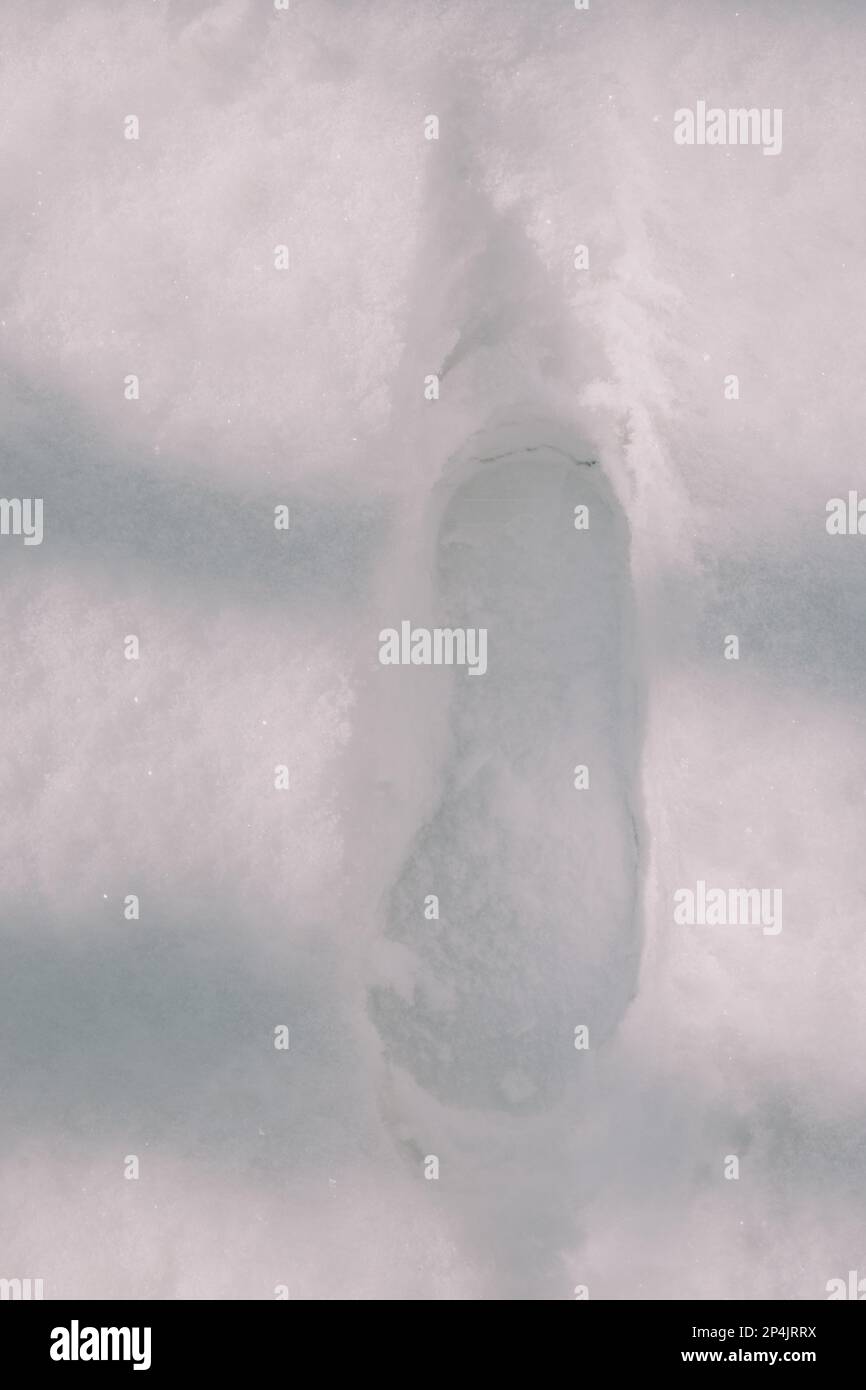 Foot marks in the snow in a garden Stock Photo - Alamy