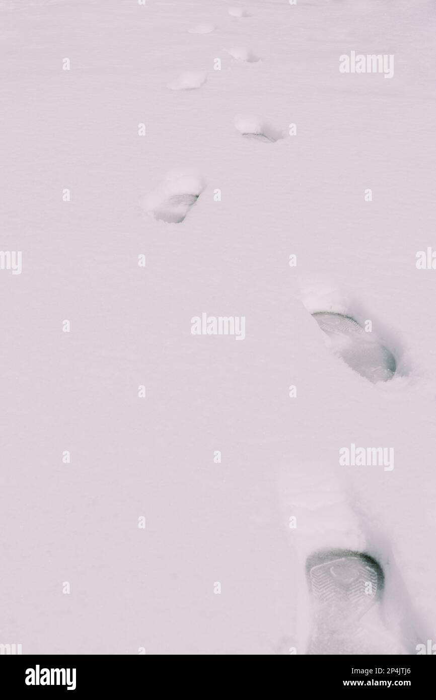 Foot marks in the snow in a garden Stock Photo - Alamy