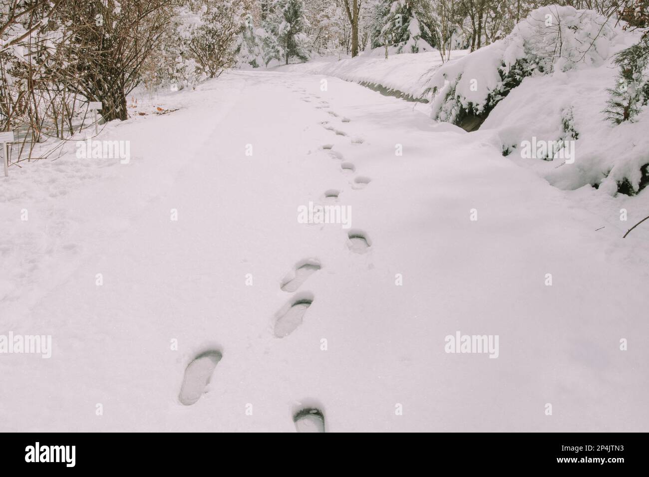 Walking marks hi-res stock photography and images - Alamy