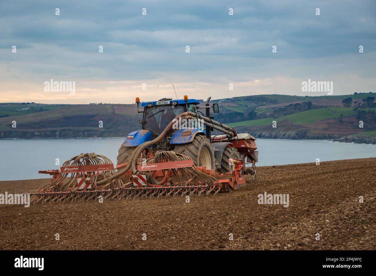 Isabel oats hi-res stock photography and images - Alamy