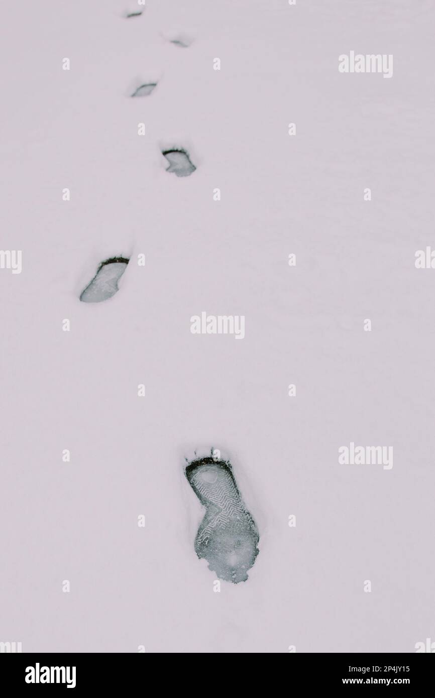 Foot marks in the snow in a garden Stock Photo - Alamy