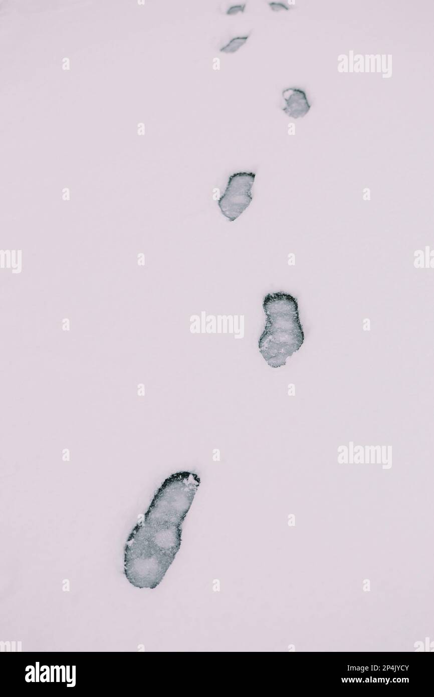 Foot marks in the snow in a garden Stock Photo - Alamy