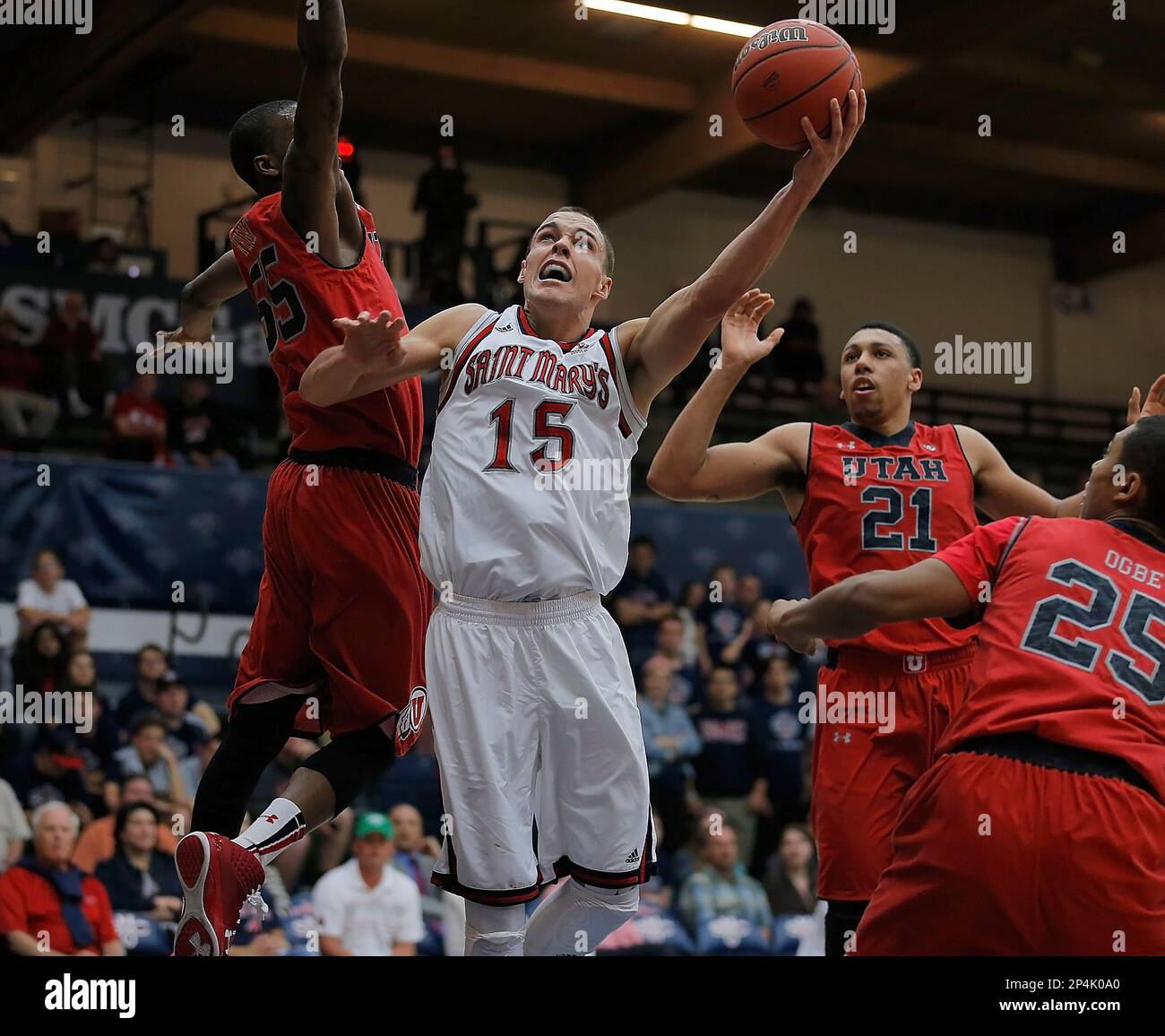 March 18, 2014 - Moraga, CA, USA - Mar 18 2014 - Moraga, CA U.S - Saint ...