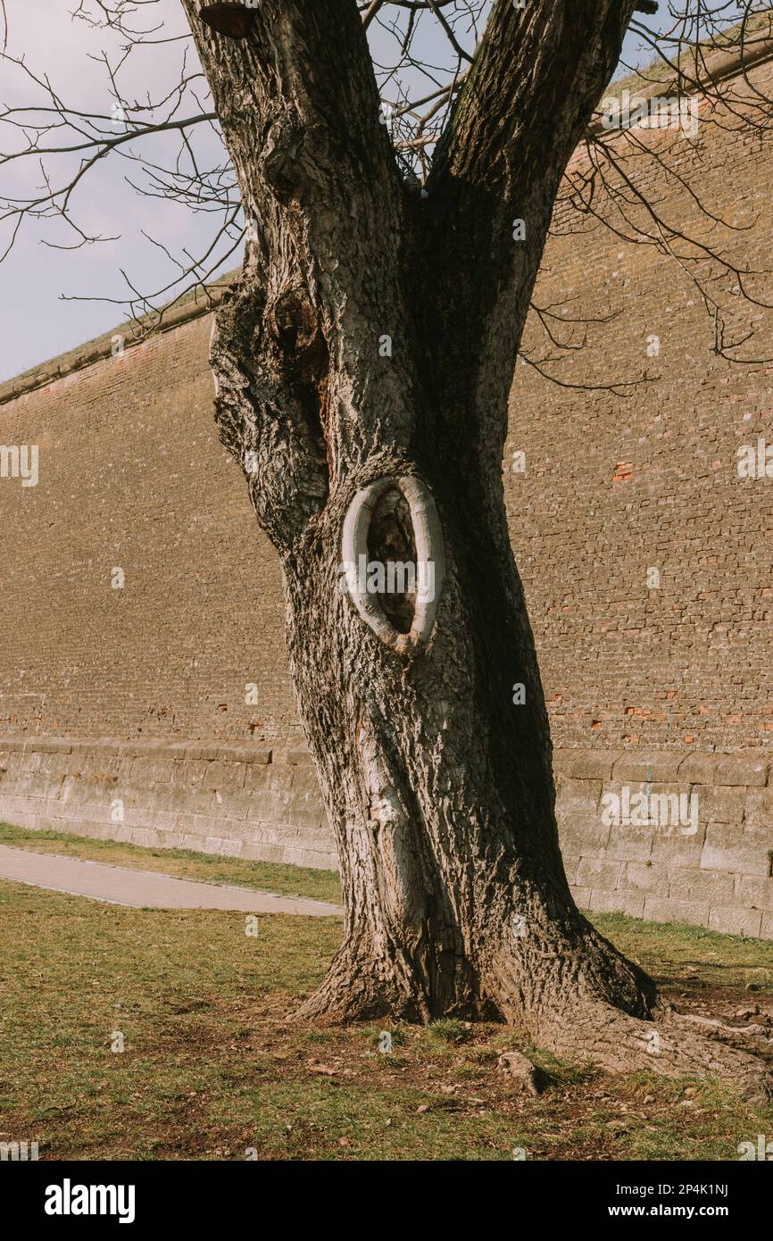 Old architecture in an ancient citadel Stock Photo - Alamy