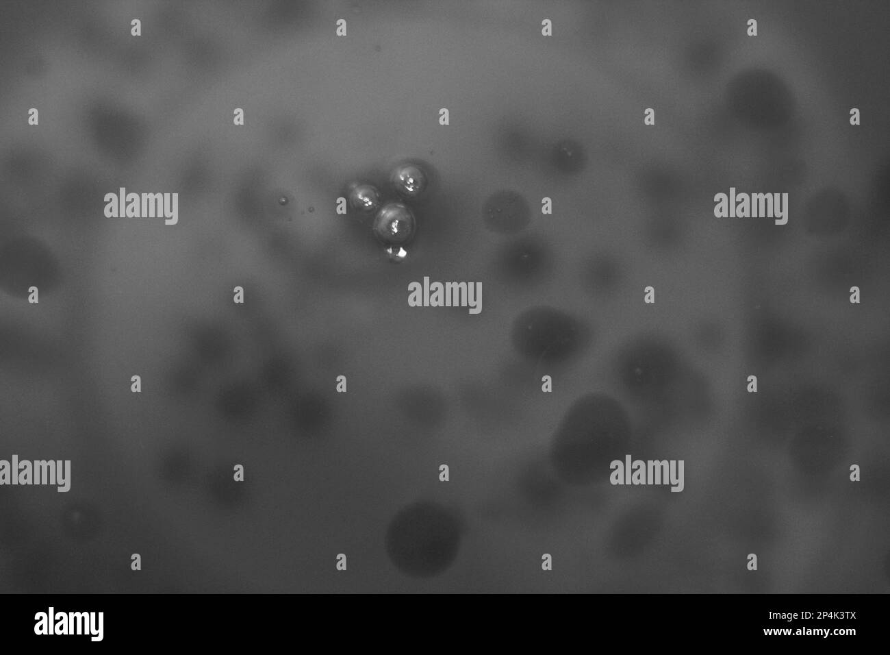 A middle school science experiment with a bowl full of globs and blobs ...
