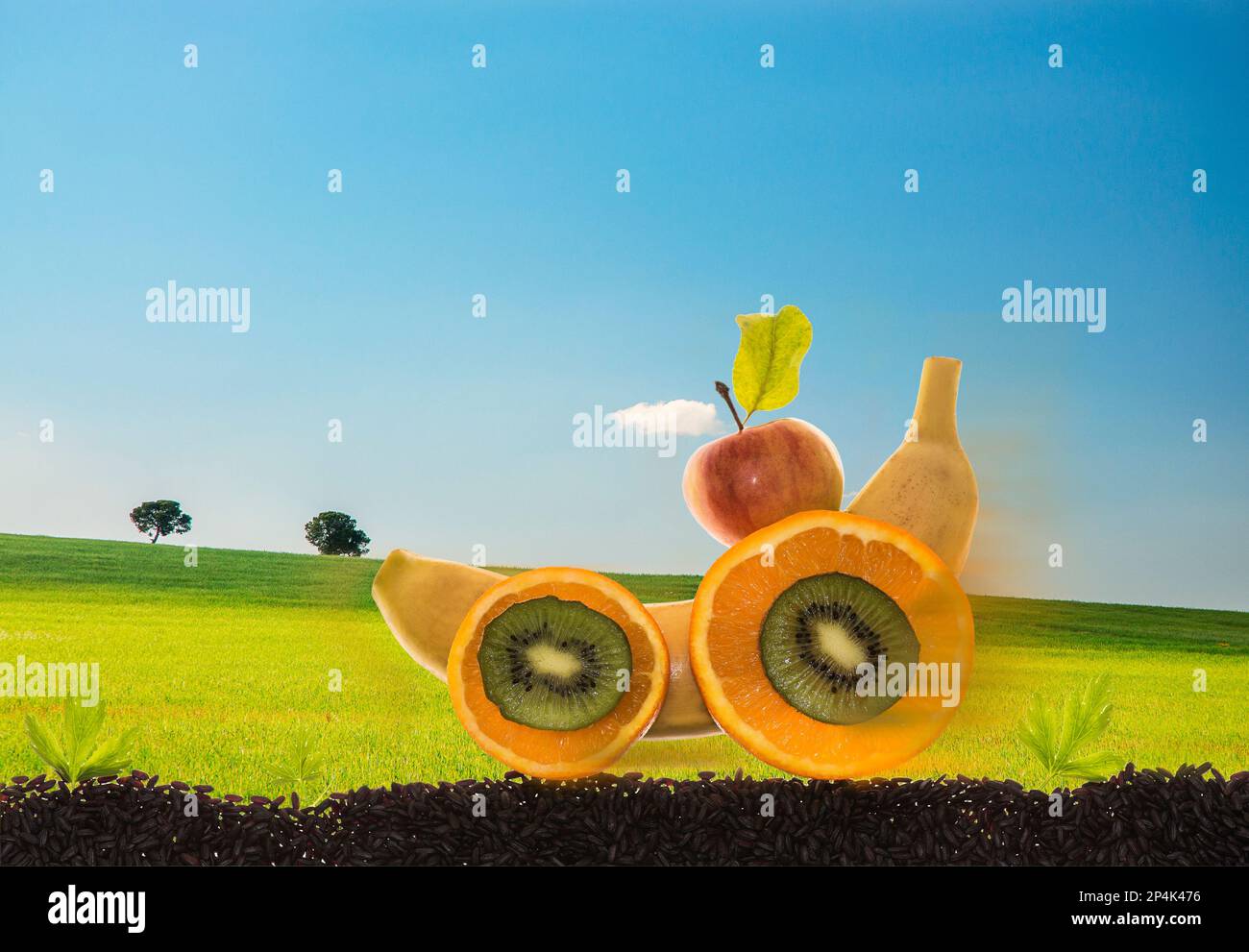 fruits in the shape of car Stock Photo - Alamy