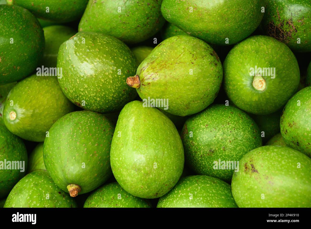 Fresh healthy green avocado on market as background. Agriculture. Food ...